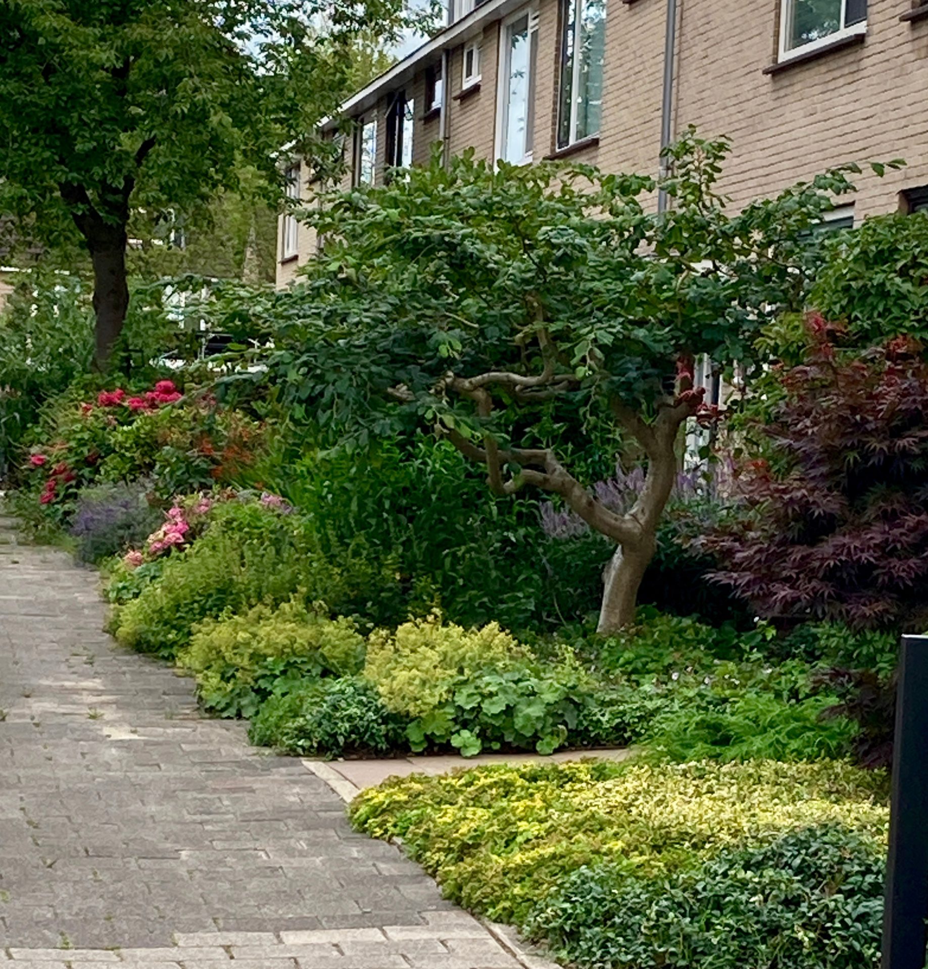 Groen tegen grijs: 4 - 0 - De tuin van nu